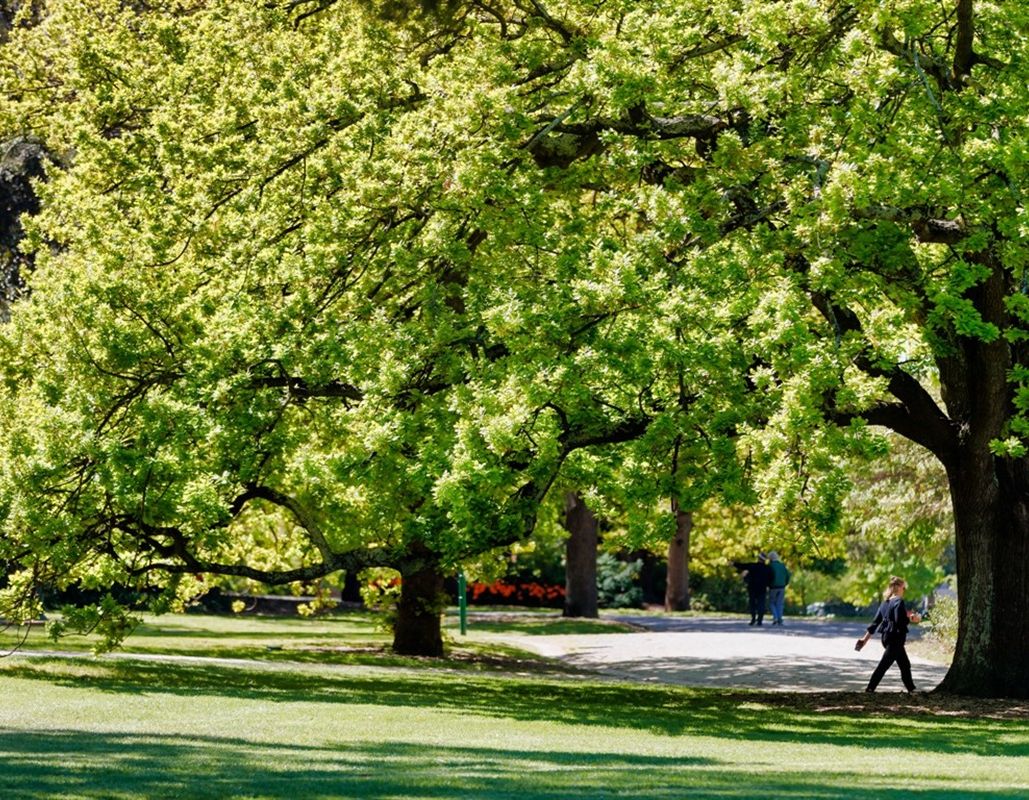 1826 Malvern Road, Malvern East, VIC 3145 For Lease